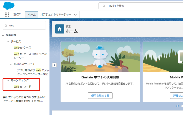 設定画面を開き、サイドメニューの検索窓に「web」と打ち込みます。Web to Leadが見つかりますので、クリックします。